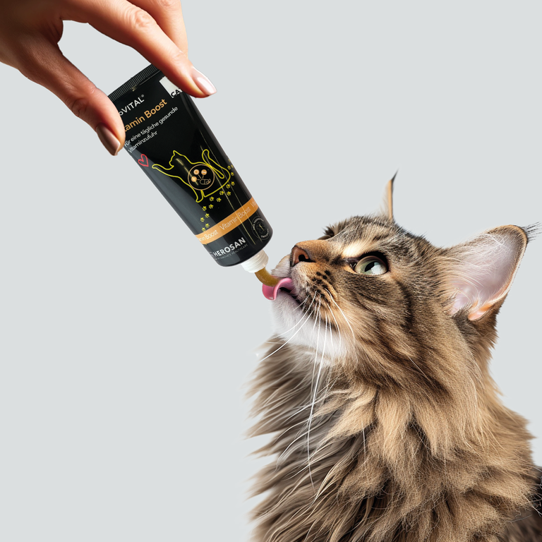 entoVITAL CAT vitamin boost